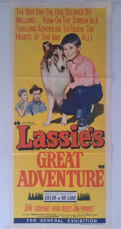 Vintage 1968 Lassie Movie Poster Original Lassies Great Etsy