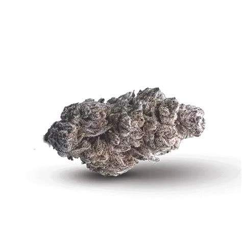 Thca Flower Sex Panther Nexzen Extracts