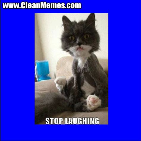 Stop Laughing Clean Memes