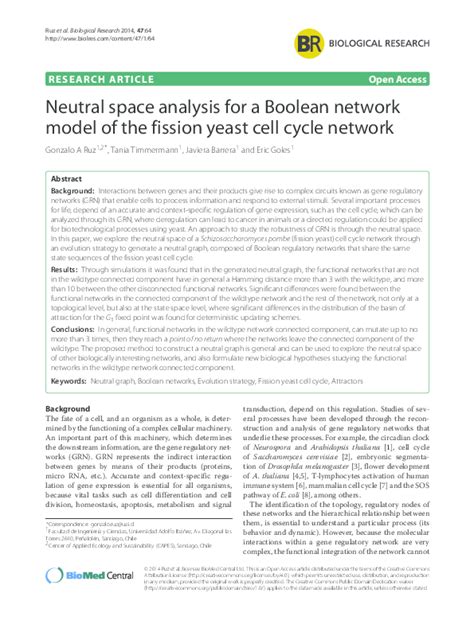 Pdf Neutral Space Analysis For A Boolean Network Model Of The Fission