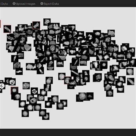 Initial Diffusion Map Layout Of The Particle Image Data Download