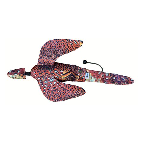 Dead Bird Dummy Sporting Saint