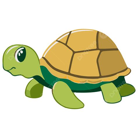Simple Flat Hand Draw Cute Cartoon Green Turtle Vector Hand Clipart