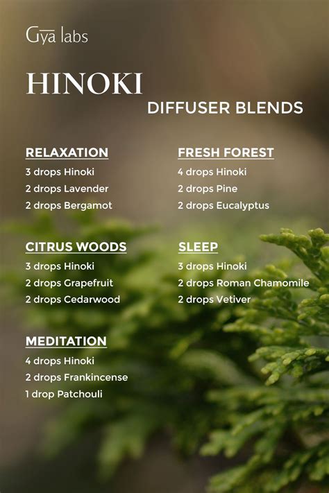 Hinoki Diffuser Blends Essential Oil Diffuser Blends Recipes