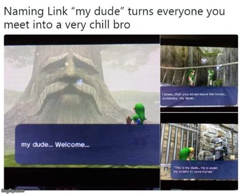 Image Tagged In My Dude Imgflip