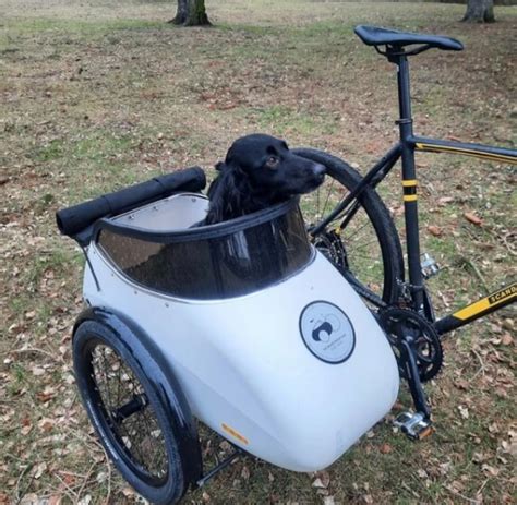 The Sidecar Mini Scandinavian Sidebike