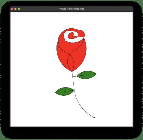 Drawing Rose Using Python Codewithcurious
