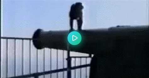 Performance Review Today  On Imgur