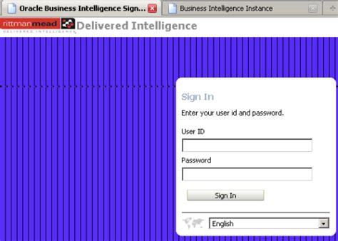 Oracle BI EE G Styles Skins Custom XML Messages