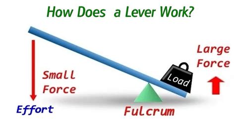 Types Of Levers Simple Machines Examples