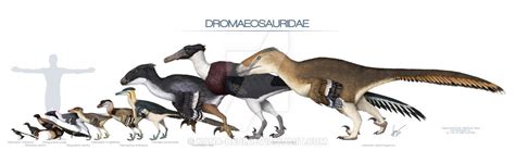 Tabela De Tamanhos Do Velociraptor