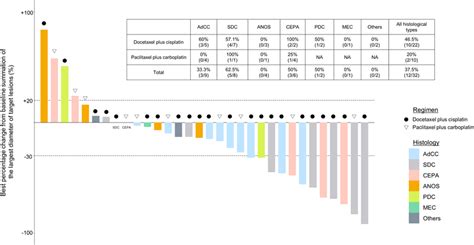 Clinical Efficacy Analysis With Waterfall Plots Of Patients Evaluable Download Scientific