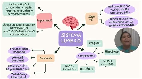 Mapa Mental Sistema Límbico Youtube