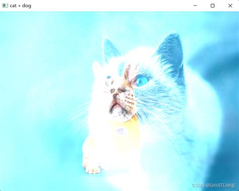 opencv 计算多张图片均值图 opencv图像处理算法 mob6454cc719119的技术博客 51cto博客