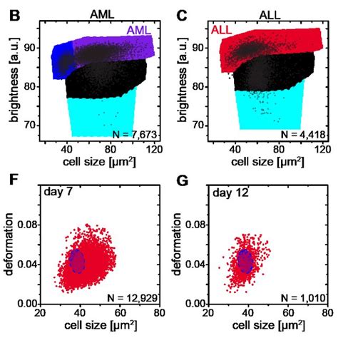 More Phenotyping Detects And Distinguishes Leukemia Subtypes And Download Scientific Diagram
