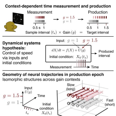 flexible sensorimotor computations through rapid reconfiguration of