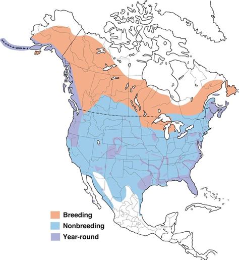 Distribution Of The Eagles