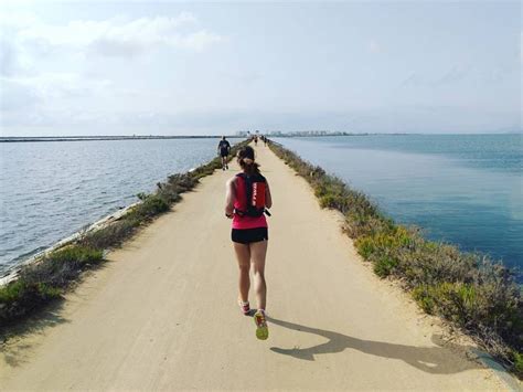 Grupo3 Equipo Grasshopper