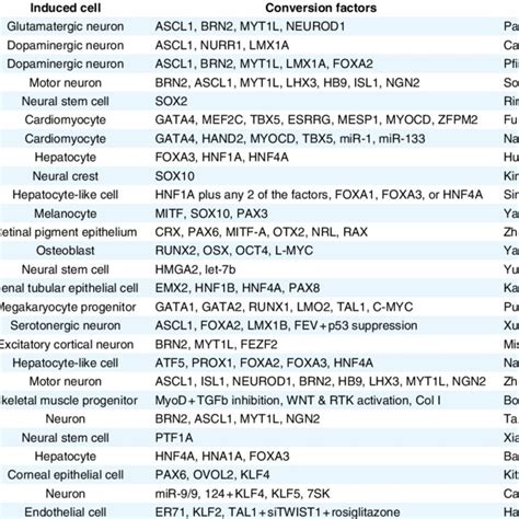 Summary Of Direct Conversion In Humans Download Scientific Diagram