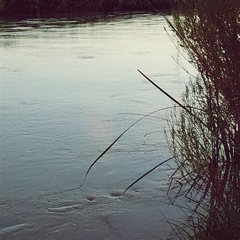 Eric Murillo Master Of Arts University Of Texas At El Paso Tx Utep Department Of