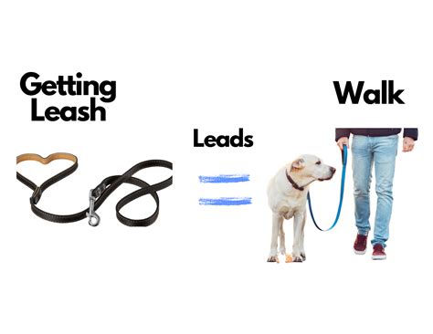 Can You Train Your Dog Using Classical Conditioning