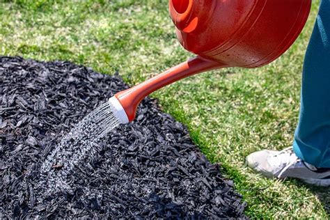 Eco Friendly Mulch Options A Green Guide For Lawn Care Businesses