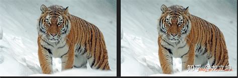 使用 Imagemagick 命令行工具处理图像指南 知乎