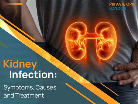 Yellow Fever Symptoms Causes And Prevention Private Gps London