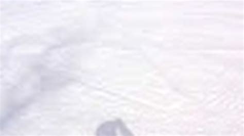 Patrick Patrick05 — Blender Community