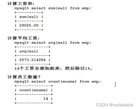 数据库第五课 分组函数 多行处理函数 Csdn博客