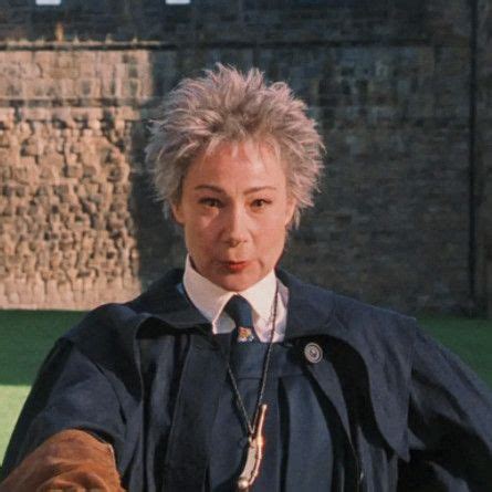 Harry Potter Madam Hooch Preview Fbyjma