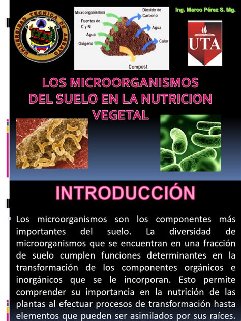 Microorganismos Del Suelo Y Su Rol Nutricional Pdf Las Bacterias