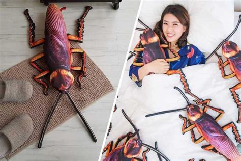 In Thailand Realistic Looking Giant Cockroach Plush Toy Is A Thing