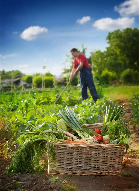 Gartenarbeit Im Juni Was Im Juni Nun Im Garten Zu Tun Ist Augsburg