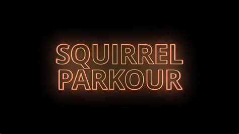 Squirrel Parkour Youtube