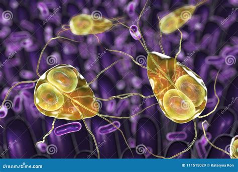 Giardia Parasites In The Colon Royalty Free Cartoon