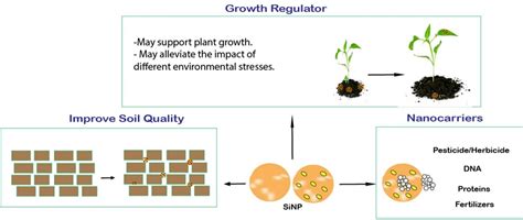4 Ways That Silicon Nanoparticles Are Changing Agriculture