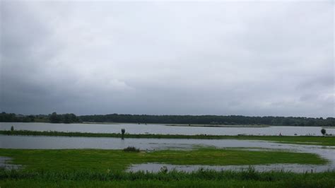 About Galerie Greta Meert