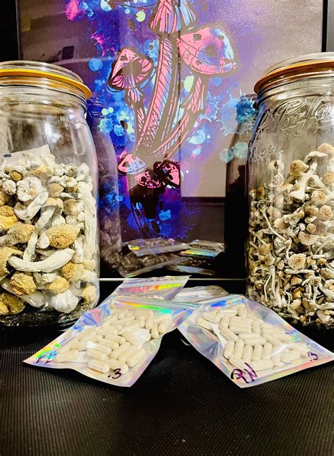 Local Ann Arbor Grower Pe And Psilocybe Natalensis Spreading Love And