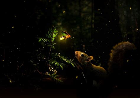 Ankan Das On Linkedin Photo Manipulation