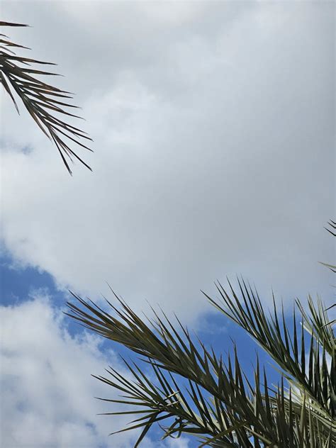 Admin Background Photos Download The Best Free Admin Background Stock