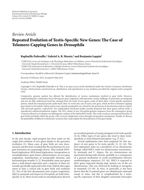 Pdf Repeated Evolution Of Testis Specific New Genes The Case Of