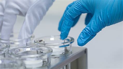 Eggshell Membrane Powder Bulk