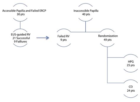 Comparing Outcomes Of 2 Nonanatomic Eus Guided Bd Routes After Failed Ercp