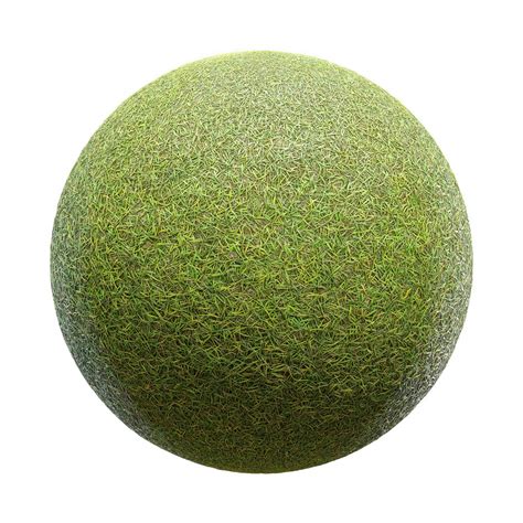 Physical 5 Grass Pbr