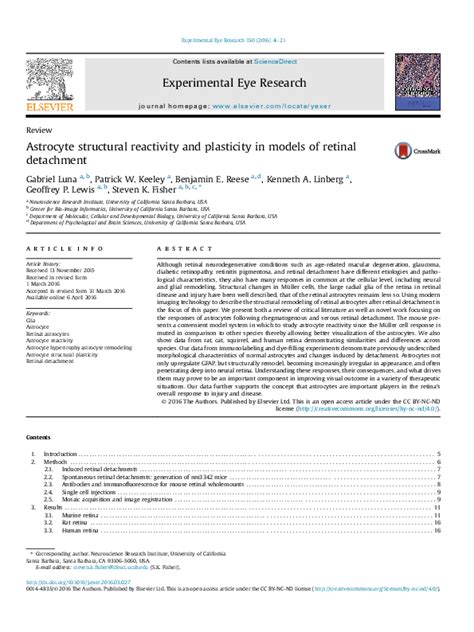 Pdf Astrocyte Structural Reactivity And Plasticity In Models Of