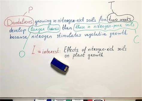 How To Write A Hypothesis Full Guide With Examples