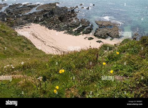 Views View Cliff Cliffs Coastal Coastline Sea Ocean Devon
