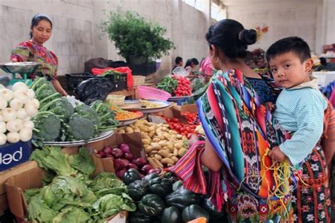 Nuevo Estudio Muestra Desigualdad Territorial De Malnutrición En Alyc