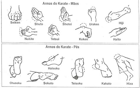 Karatê Do Shotokan Nomes Dos Golpes